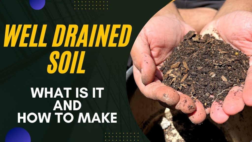 How to Make Well-Drained Soil for Healthy Plants