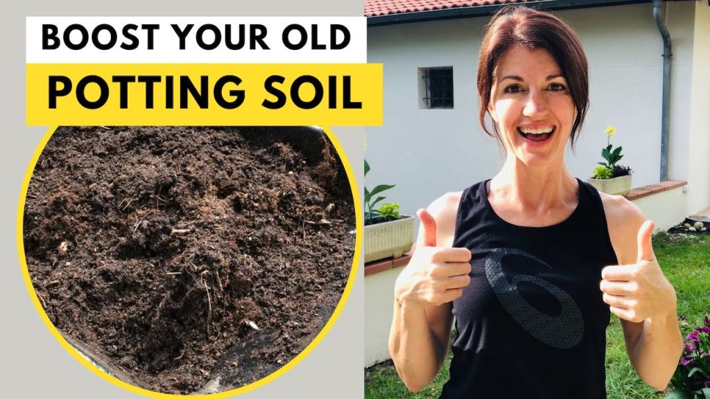 How to reuse potting soil in garden - Garden Fill